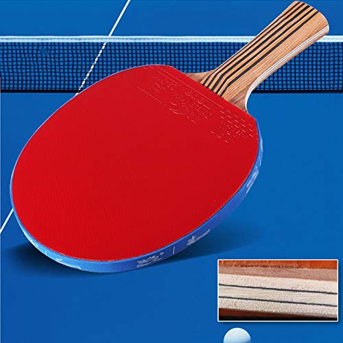 Hewen-Ping Pong Set Durable Table Tennis Set Table Tennis Racket Ping Pong Bat Set with 1 Rackets, 10 Balls and 1 Racket Case Table Tennis Bat (Size : Short)