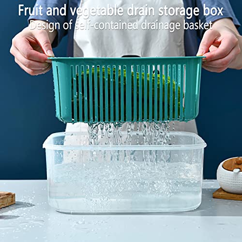 QBOMB Vegetable and Fruit Storage Container, Containers with Lid and and Removable Drain Basket,Containers for Fridge Berries Vegetable Wash, 5 Sizes, Food Grade Safe,3800ml