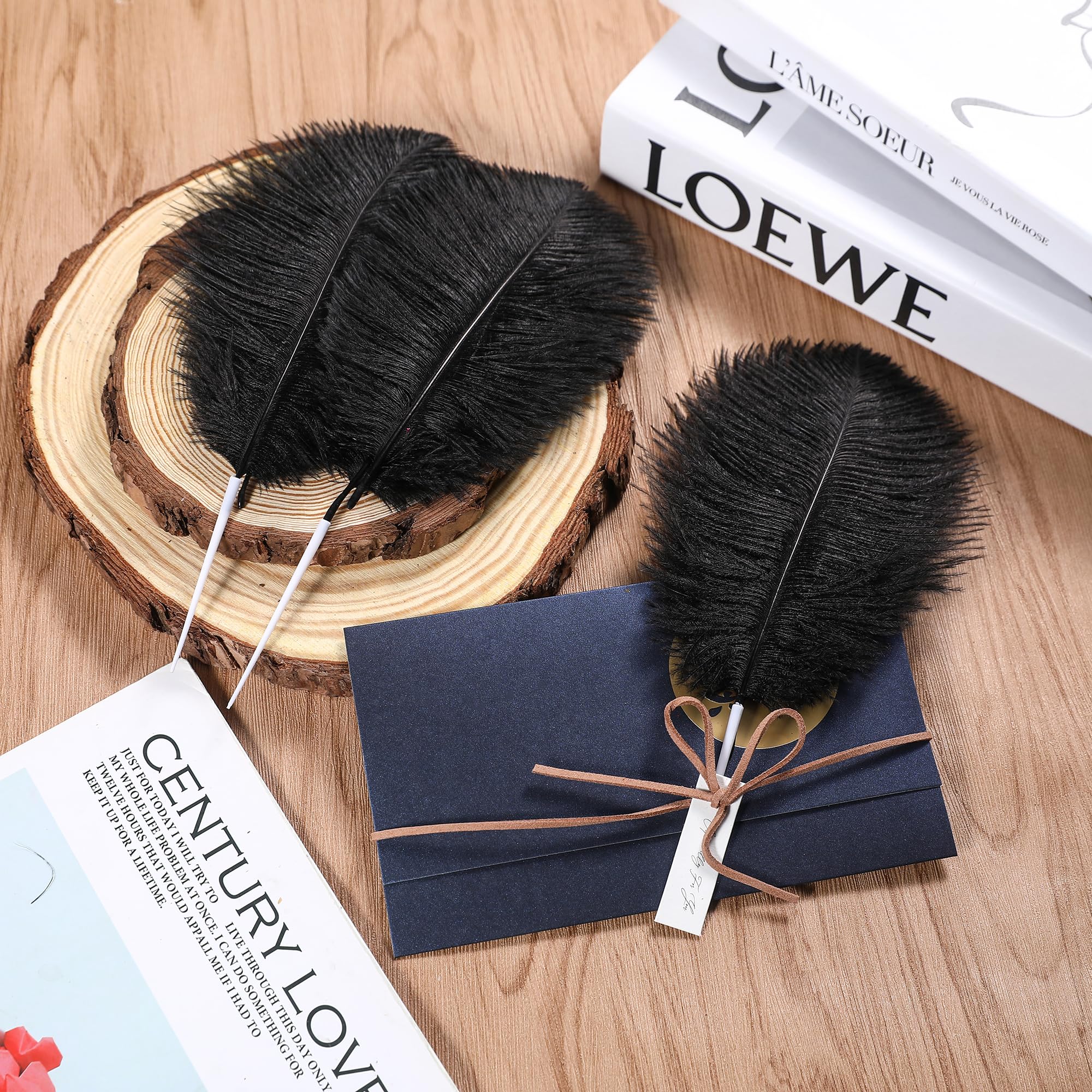 SOGUGOM Black Craft Ostrich Feathers - 30PCS 6-8 inch Ostrich Feathers Kit for Centerpieces, Kindergarten Crafts, Dream Catchers and DIY Projects(Black)