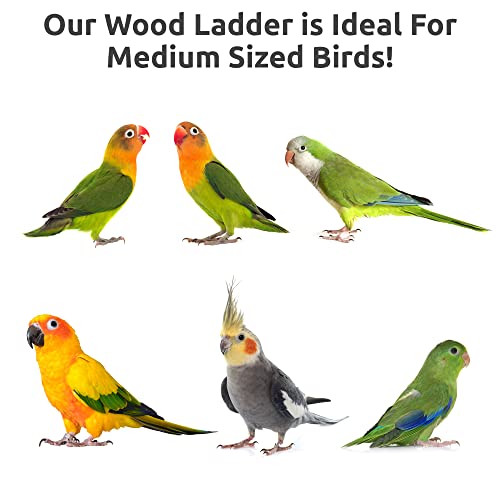 SIMENA Bird Cage Ladder, Parrot Bridge Made of Natural Wood and Rope, Interactive Bird Toy for Small and Medium Sized Birds and Parrots Like Parakeets, Cockatiels, Amazon Parrots, Conures and etc.
