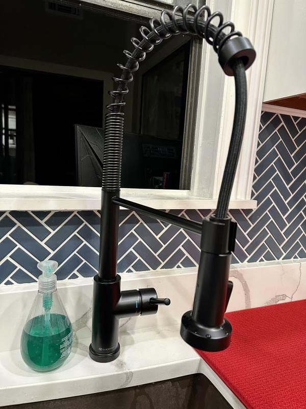 Glacier Bay Paulina Single-Handle Spring Neck Pull Down Sprayer Kitchen Faucet in Matte Black