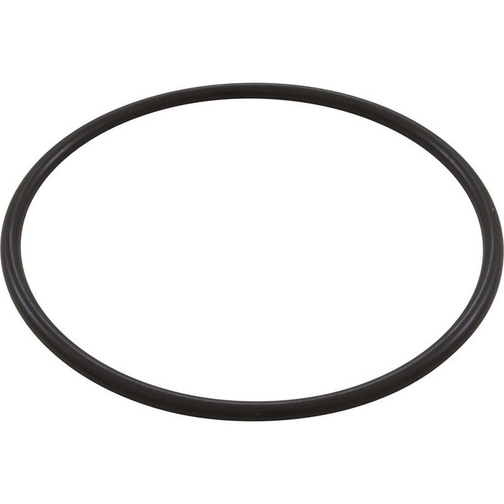 Waterway Plastics 806105129826 6" Trap Lid O-Ring