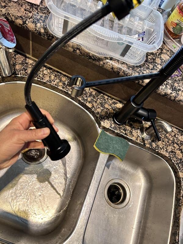 Glacier Bay Paulina Single-Handle Spring Neck Pull Down Sprayer Kitchen Faucet in Matte Black