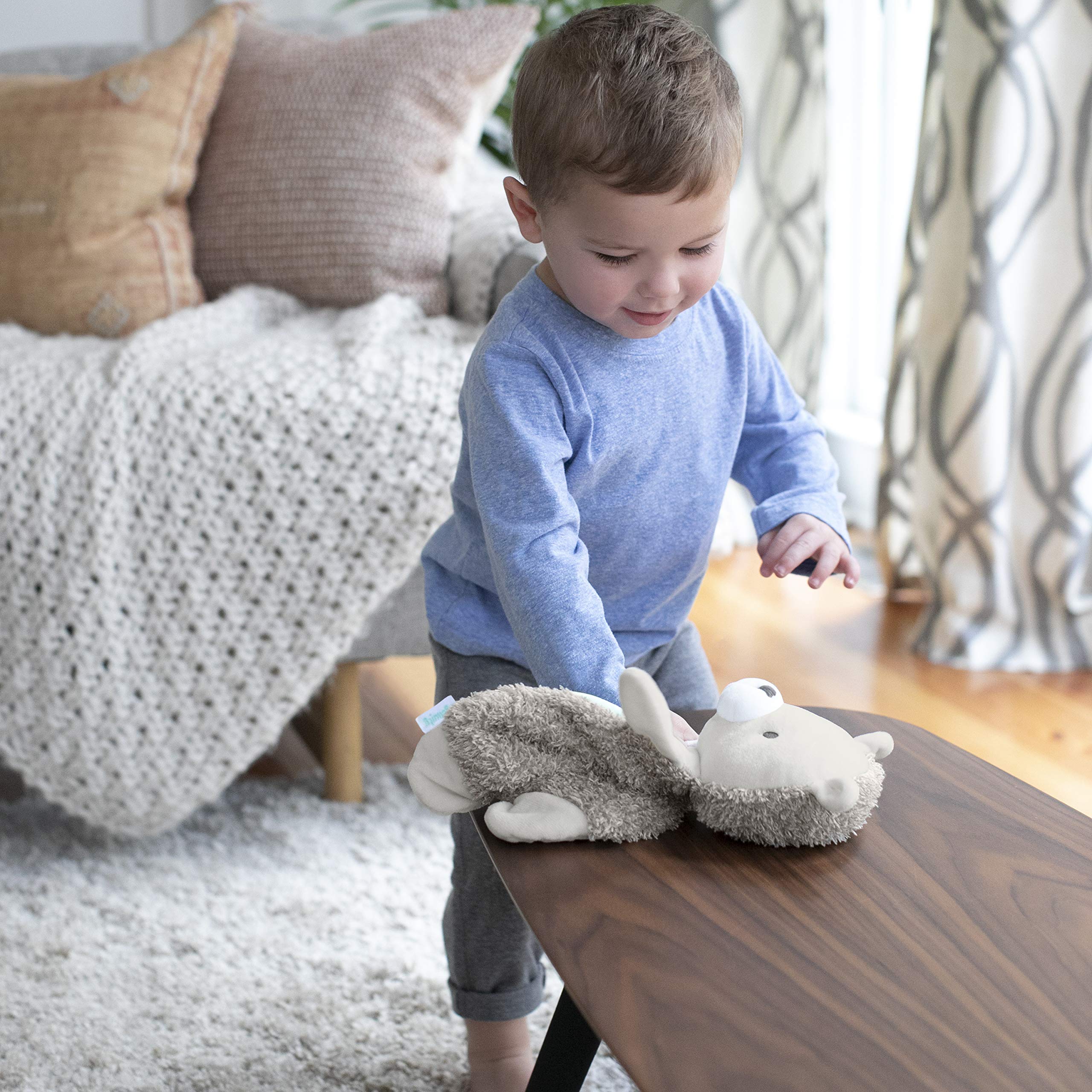 Ingenuity Premium Soft Mini Bean Bag Plush, Farrow the Hedgehog, Ages Newborn and up.