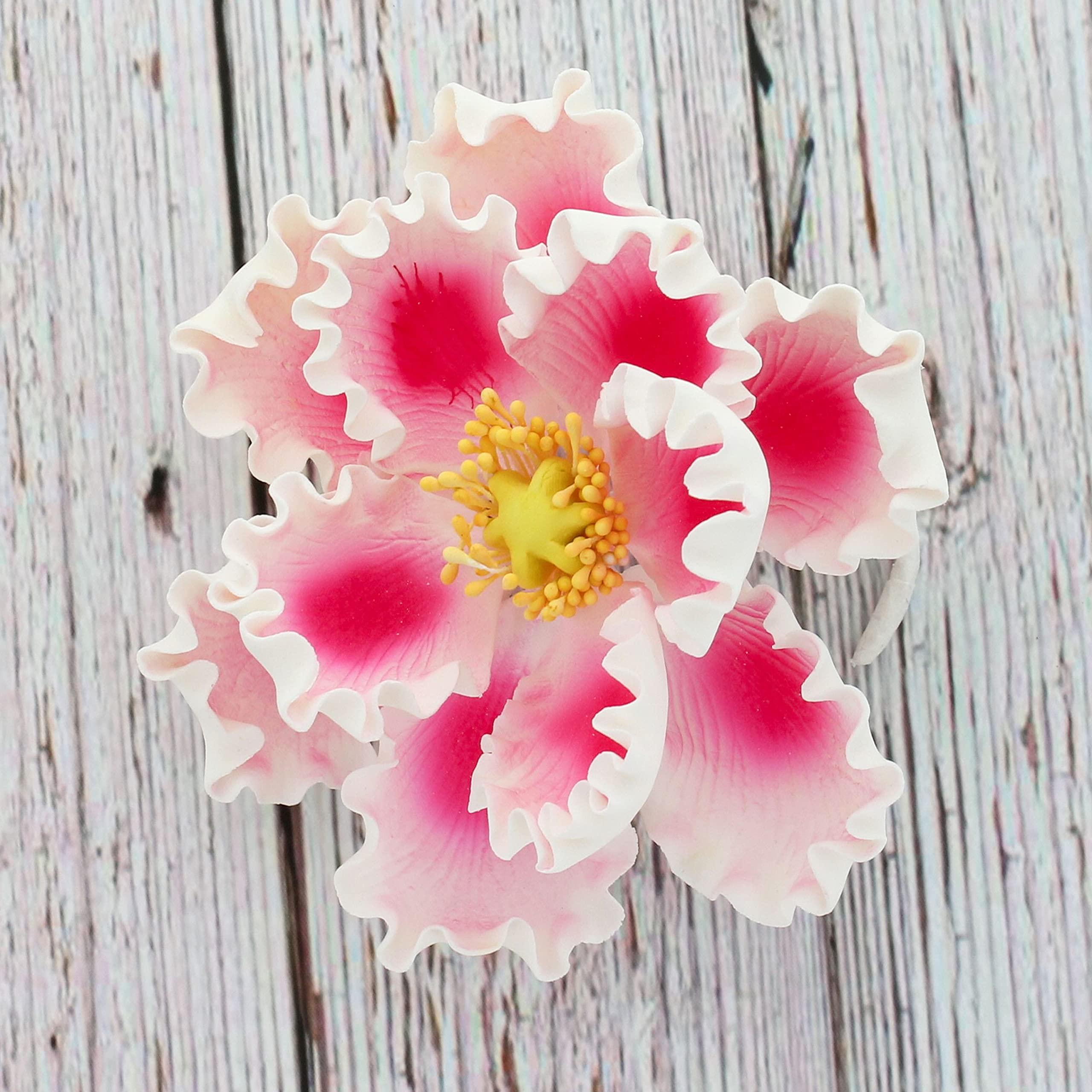 Global Sugar Art Peony Sugar Cake Flowers Pink with White Deluxe, 1 Count by Chef Alan Tetreault