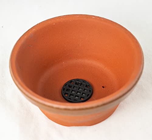 Japanese Tokoname Bonsai Training Pot, Cactus & Succulent Planter with Mesh - 4.25"x 4.25"x 2"