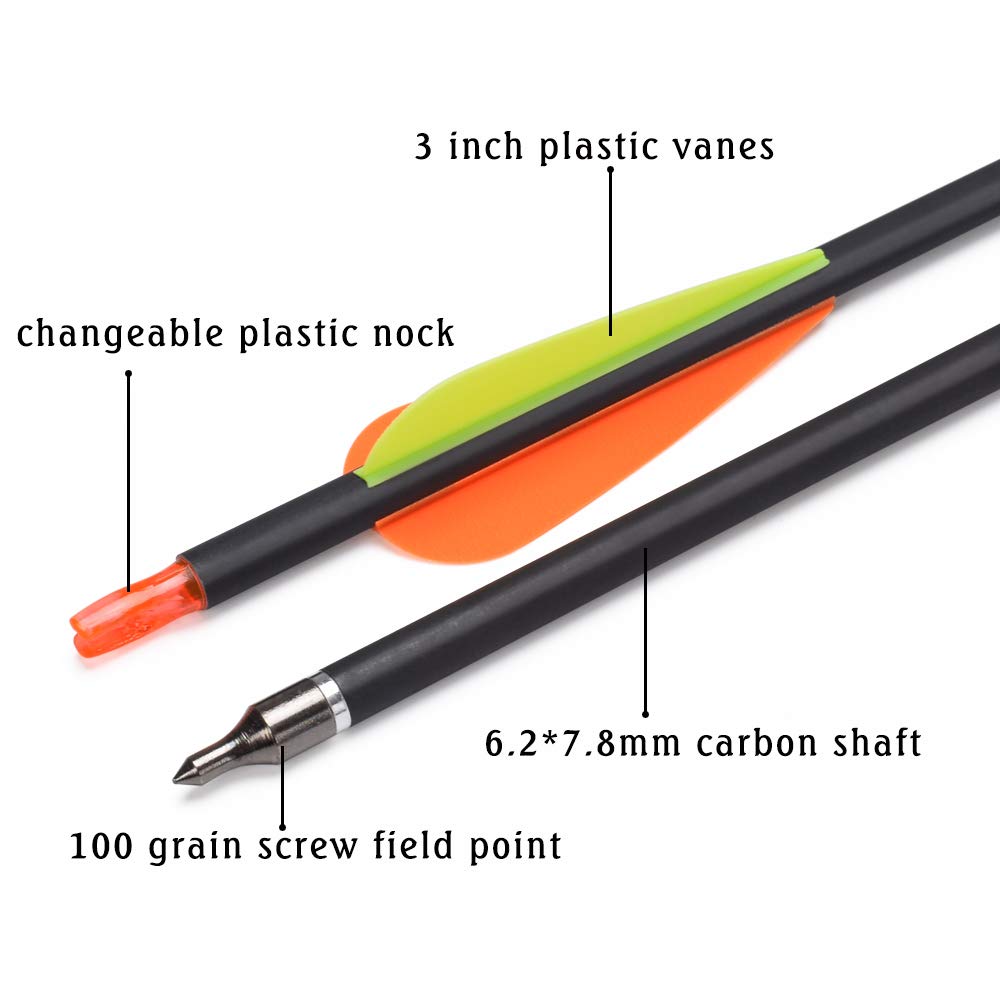 Hunter Ian Archery Carbon Arrow Hunting Arrows 28 Inch with 100 Grian Removable Tips for Compound Bow & Recurve Bow Practice Shooting (Pack of 12)