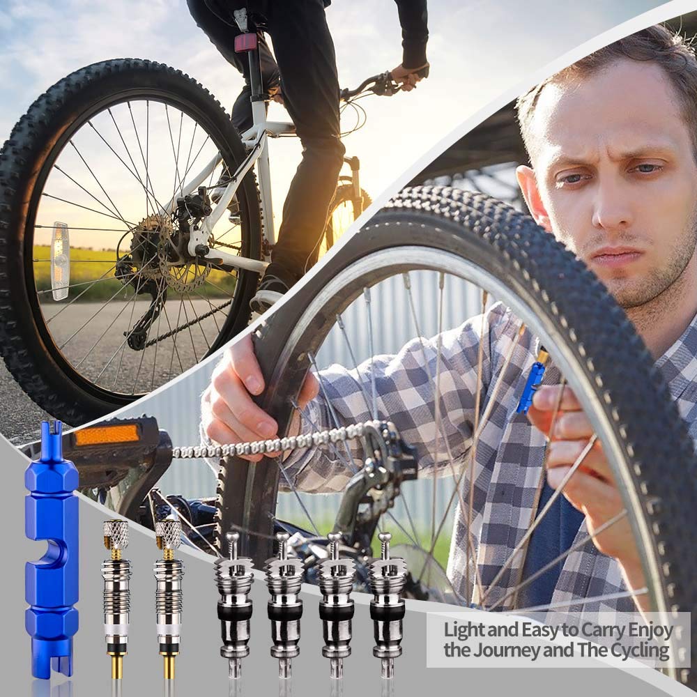 Hapleby Premium Bike Valve Core Remover Tool for Schrader and Presta, Tire Valve Repair Tool Kit, Including 2PCS Presta and 4PCS Schrader Valve Core