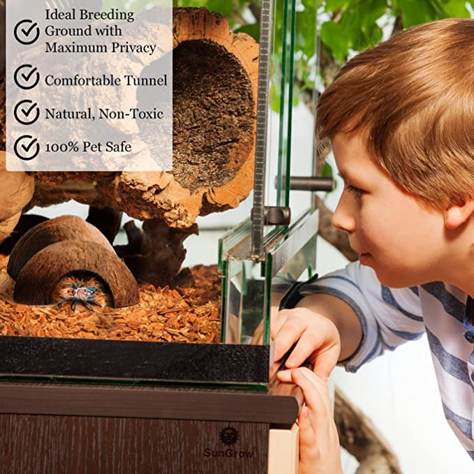 Gluc Hermit Crab Huts, 5x3 Inches, Arthropod's Coconut Hide, Spacious Coco Tunnel, Use as Hermit Cave or Climber, 2-Pcs