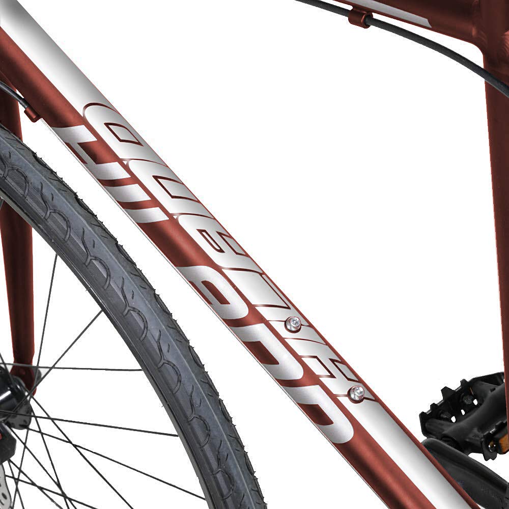 Hiland Road Commuter Bike,700C Wheels with 14 speeds Racing Bike for Men Womens