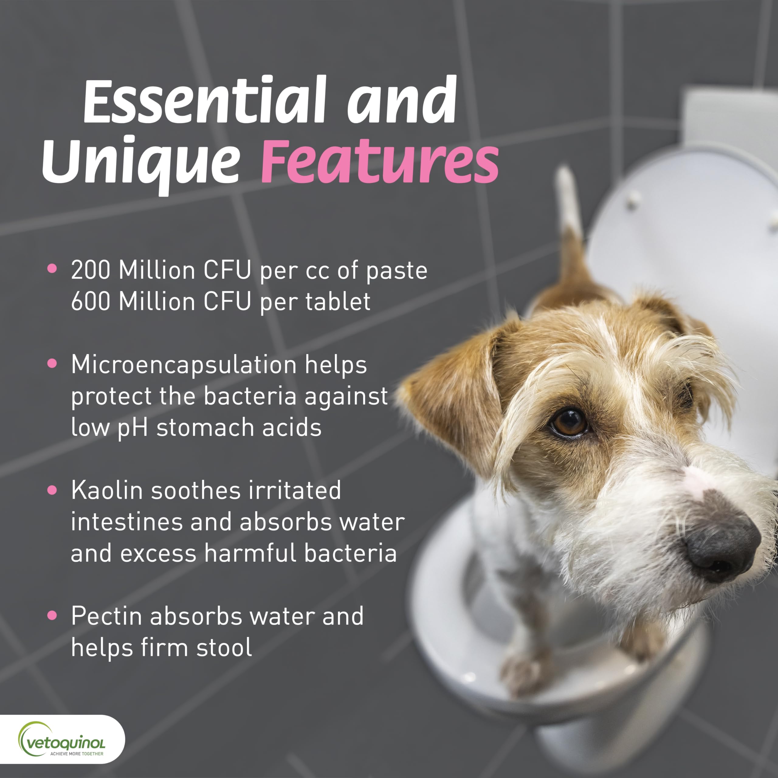 Vetoquinol Pro-Pectalin Oral Paste for Dogs & Cats β Chicken Flavor β Helps Reduce Occasional Loose Stool & Diarrhea, Balance Gut pH, Support Normal Digestion