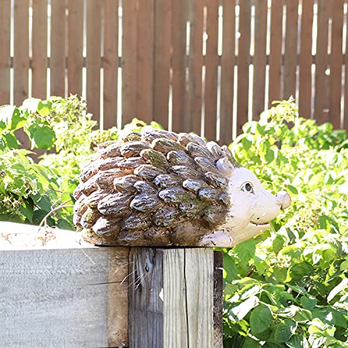 Sunnydaze Hazel The Hedgehog Garden Statue Decor - Hand-Painted Sculpture for Patio, Lawn, Garden and Indoor Living Spaces - 7-Inch
