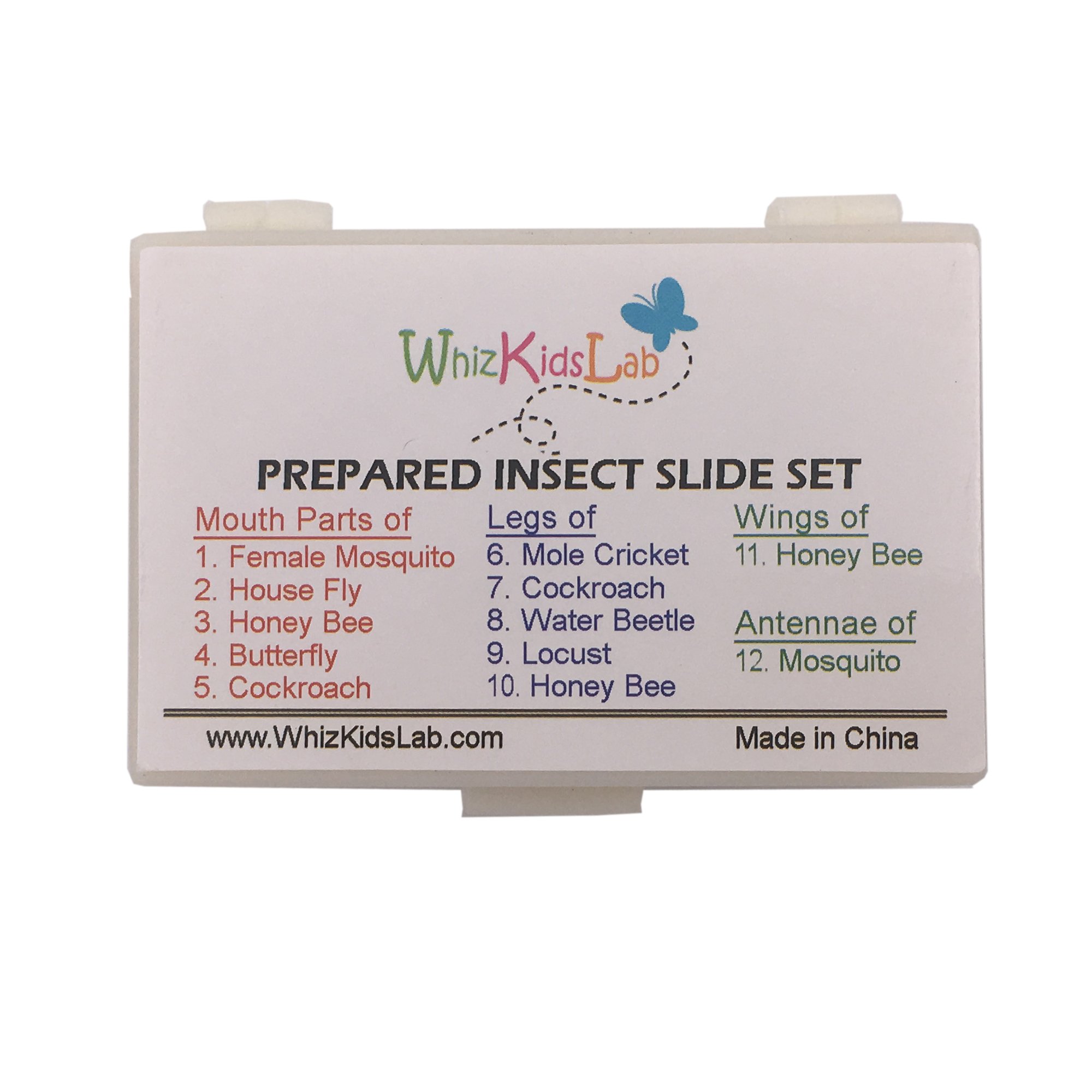 WhizKidsLab 12 Prepared Insect Bug Parts Microscope Slides Set Real Beetle Specimen Postcards STEM Science Kit