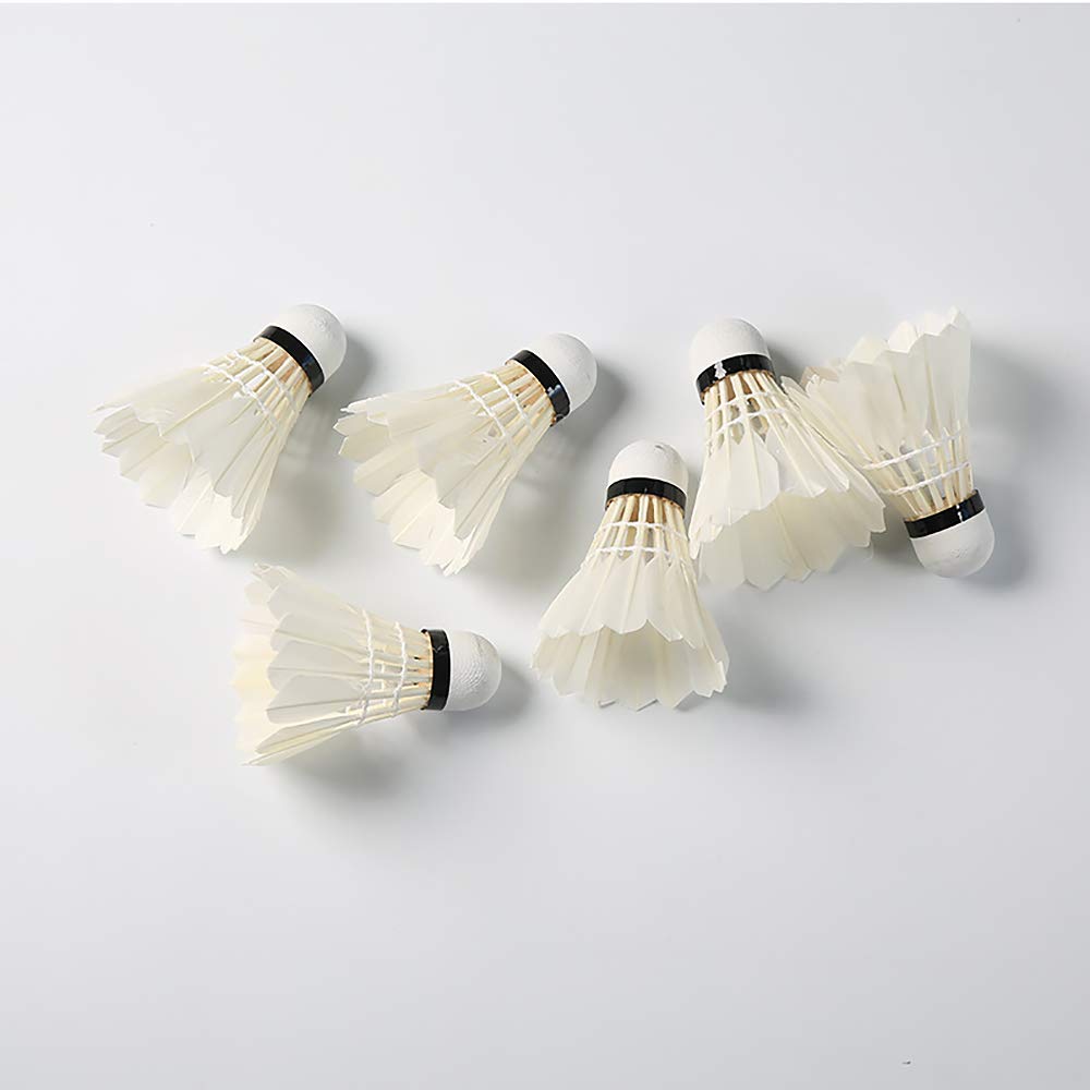 Goose Feather Badminton Shuttlecocks Balls, RAHVISH 12-Packs Advanced White Birdies Shuttlecock with Stability and Durability High Speed Flight, Training Badminton Balls for Indoor Outdoor Sport