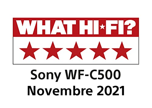 Sony WF-C500 True Wireless Headphones - Up to 20 Hours Battery - Charging case - Voice Assistant Compatible - Built-in mic for Phone Calls - Reliable Bluetooth - Mint Green