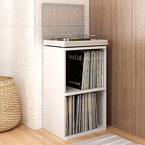 Way Basics Vinyl Record Storage - 2 Tier Book Shelf Turntable Stand (Fits 170 Albums)