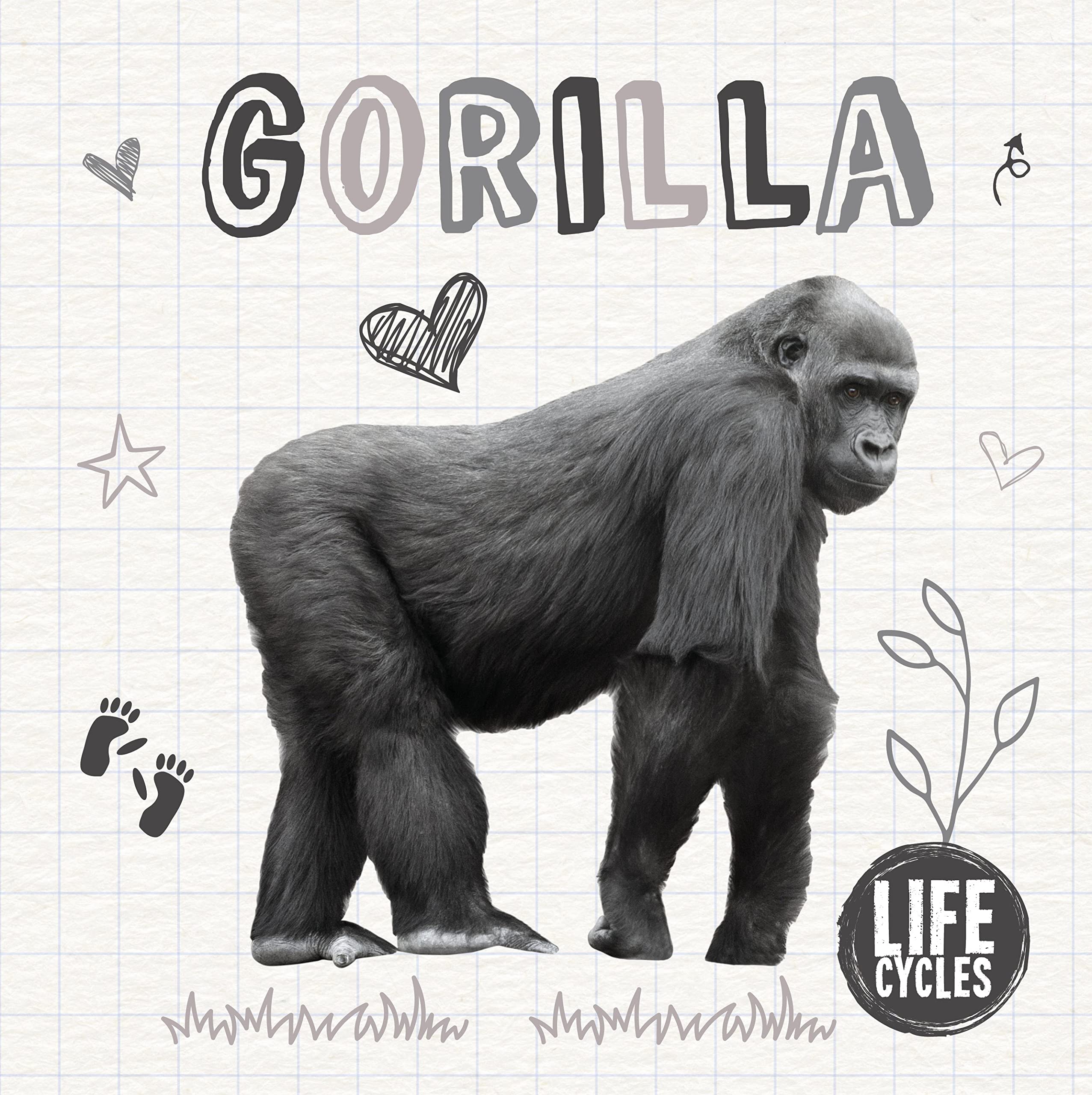 Gorilla (Life Cycles)