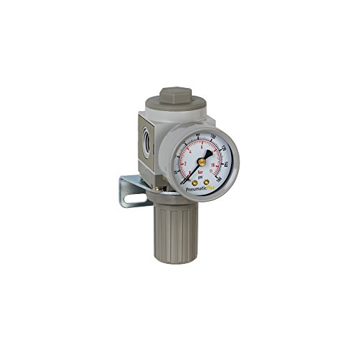 PneumaticPlus SAR2000M-N02BG Miniature Air Pressure Regulator 1/4" NPT - Gauge, Bracket