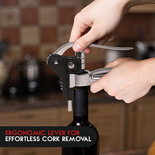 Heavy-Duty Rabbit Wine Opener With 2 Stainless Steel Ice Cubes By Setoris - Winged Corkscrew With Ergonomic Lever & Non-Stick Warm- Manual Rabbit Cork Remover- Great Wine Gift Idea (Bronze)