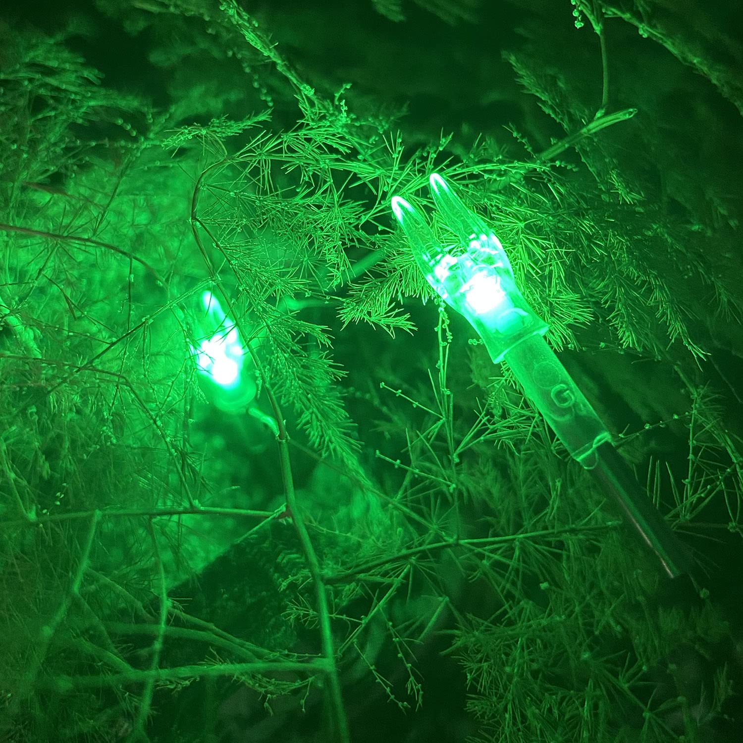 KEAUP G/4.2mm Lighted Nocks for Arrows with .165".204" Inside Diameter 3PCS with X Bushings,Screwdriver Included (Green)