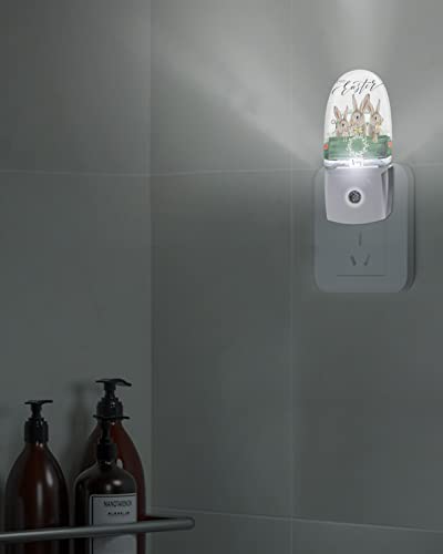 RisQiten Easter Bunny Night Light, LED Plug in Night Light, Green Truck Spring Eucalyptus Leaf Wreath Night Lights with Dusk to Dawn Sensor Decorative Kids/Adults Nightlight for Bedroom Bathroom