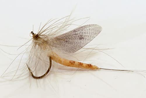 Hemingway's Realistic Mayfly Wings 4 Size Set for Fly Fishing (Tan)