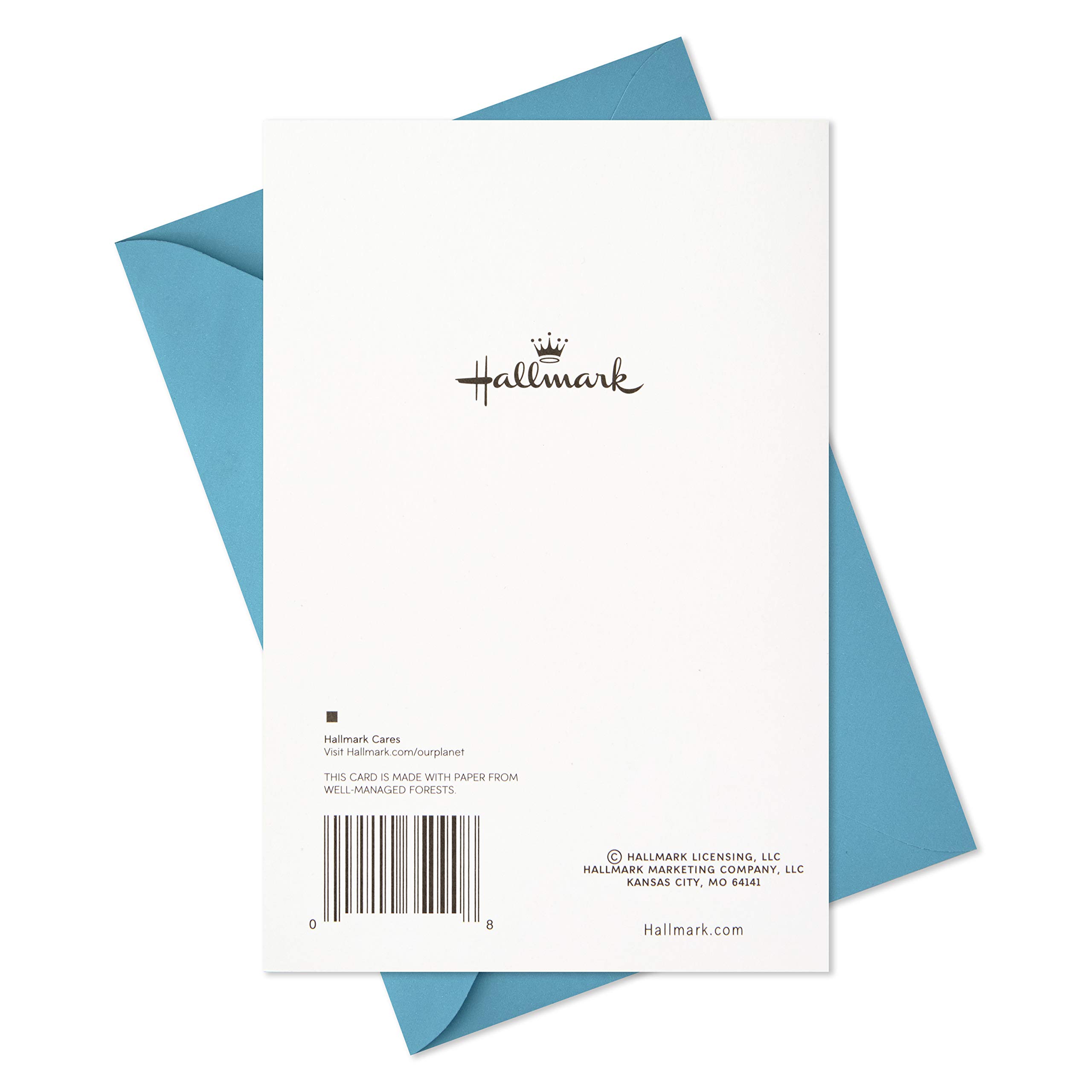 Hallmark Baby Shower Card for Twins or Triplets (Love Multiplying)