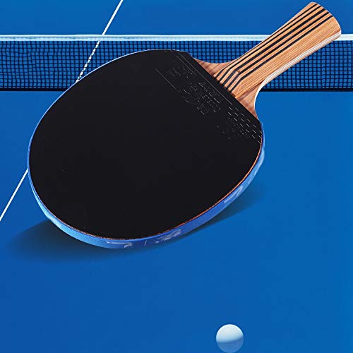 Hewen-Ping Pong Set Durable Table Tennis Set Table Tennis Racket Ping Pong Bat Set with 1 Rackets, 10 Balls and 1 Racket Case Table Tennis Bat (Size : Short)