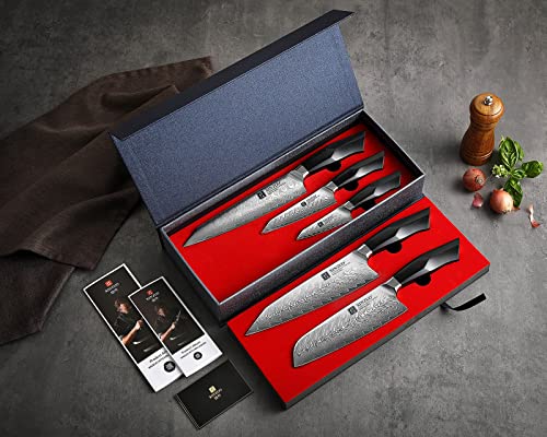 XINZUO 5-piece Damuscus Kitchen Knife Set,67 Layer Hand Forged Damascus Steel Professional Chef Knife Set with Gift Box, G10 Black Handle,Razor Sharp-Feng Series