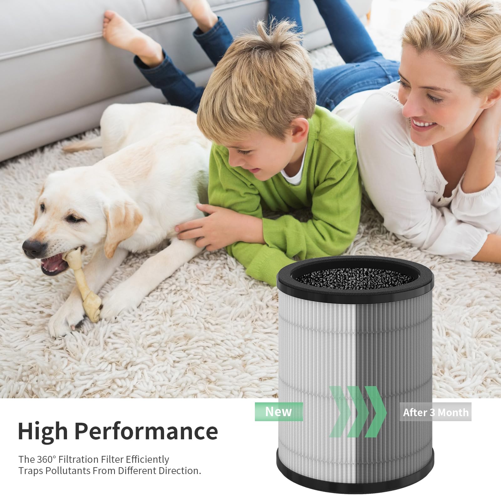 GoKBNY KJ80 True HEPA Replacement Filter Compatible with Druiap KJ80 Purifier, Compared to part# AF3080, 3-in-1 H13 True HEPA Filters(4-Pack)