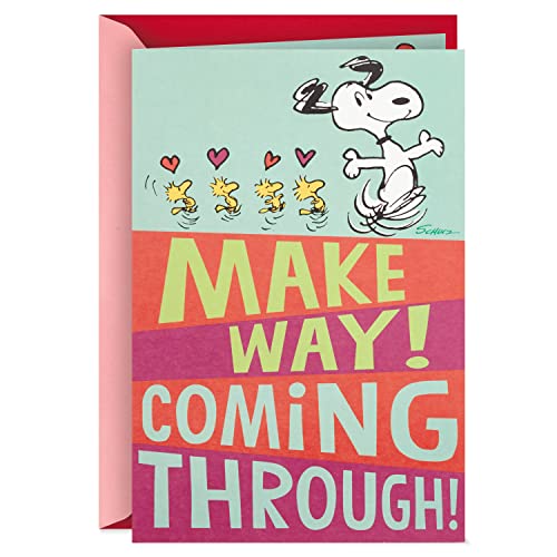 Hallmark Peanuts Valentine's Day Pop Up Card (Snoopy and Woodstocks)