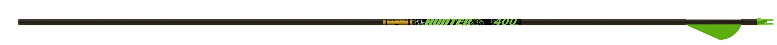 Gold Tip Hunter XT 250 Arrows with 2-Inch Raptor Vanes (1-Dozen)