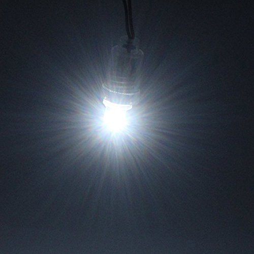 GutReise 10pcs E10 Screw Flood Led Lamps +10pcs E10 Base,12V Cold White Led Bulb Light (12V, Cold White)