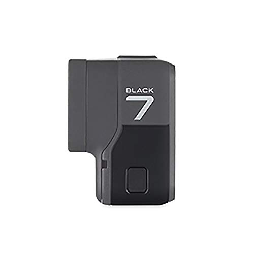 GoPro Camera Accessory Replacement Side Door (HERO7 Black) - Official GoPro Accessory