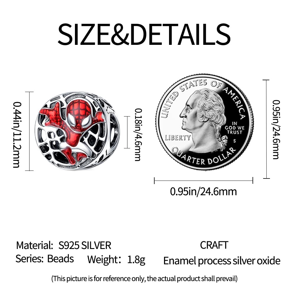 HappyStar 925 Sterling Silver Charms for Bracelets and Necklaces,Combination Dangle Pendants Beads Charms Jewelry Gift for Couples Sisters.(With Spacer Beads)