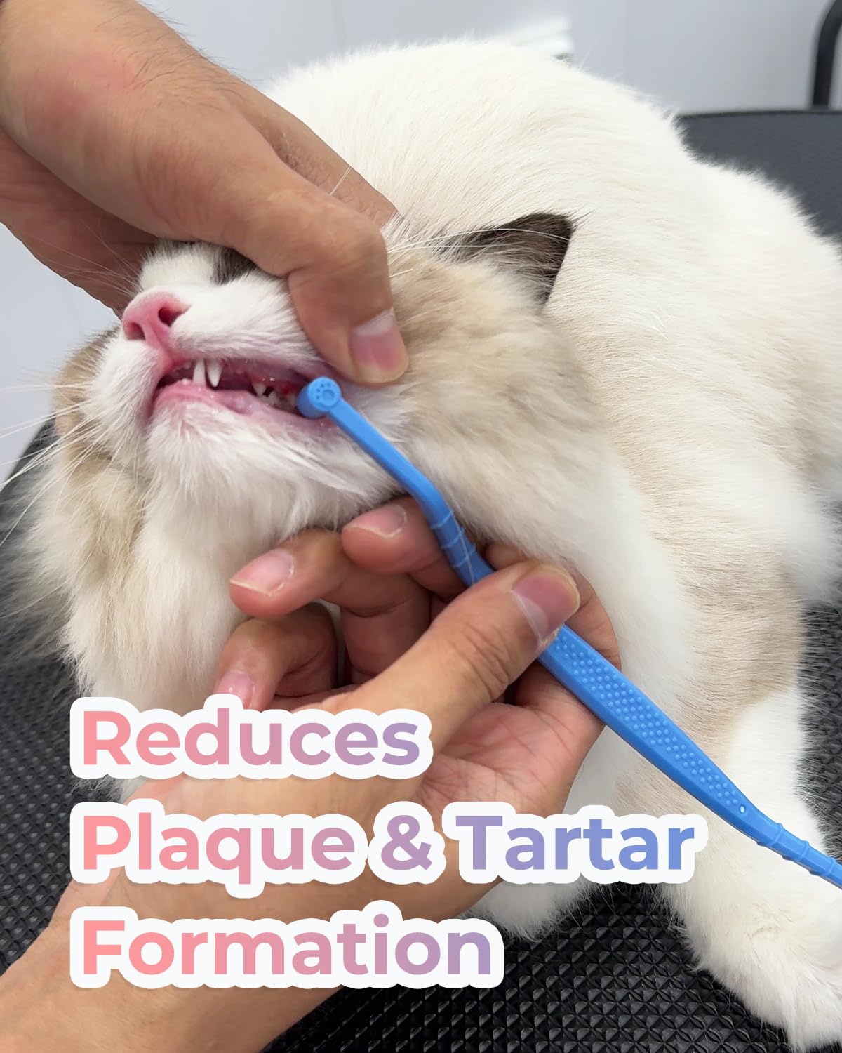 XUEPETT 2 Pcs Dual Sided Cat Toothbrush with Micro Brush Head, Anti-Slip Curved Handle, Cat Dental Care Supplies Eliminates Bad Breath and Reduces Plaque Tartar Formation