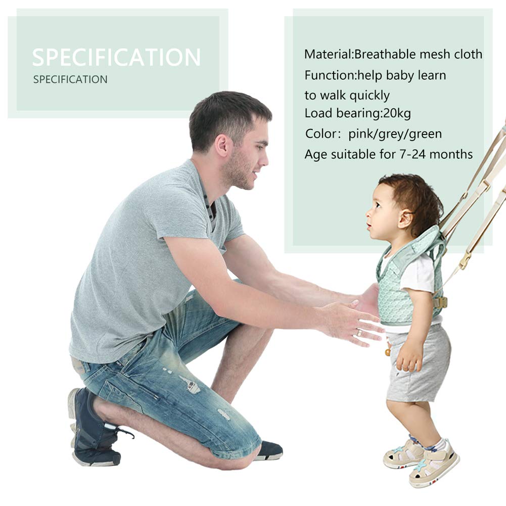 Handheld Baby Walking Harness for Kids Adjustable Toddler Walking with Detachable Crotch Keeper Walking Assistance Helper Safe Standing Walk Learning Baby Gift for 7-24 Months Baby(Green)