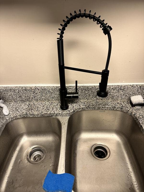 Glacier Bay Paulina Single-Handle Spring Neck Pull Down Sprayer Kitchen Faucet in Matte Black