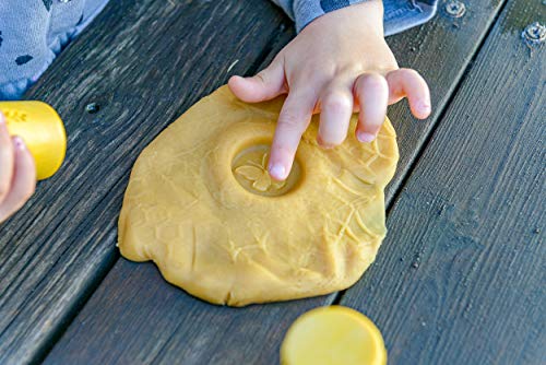 Yellow Door Let's Roll,Garden Bugs, Set of 6