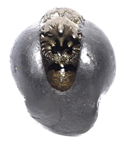 Rudrakshguru Wooden Bhuvaneshwari Shaligram (Black, 2.50 x 2-inch)