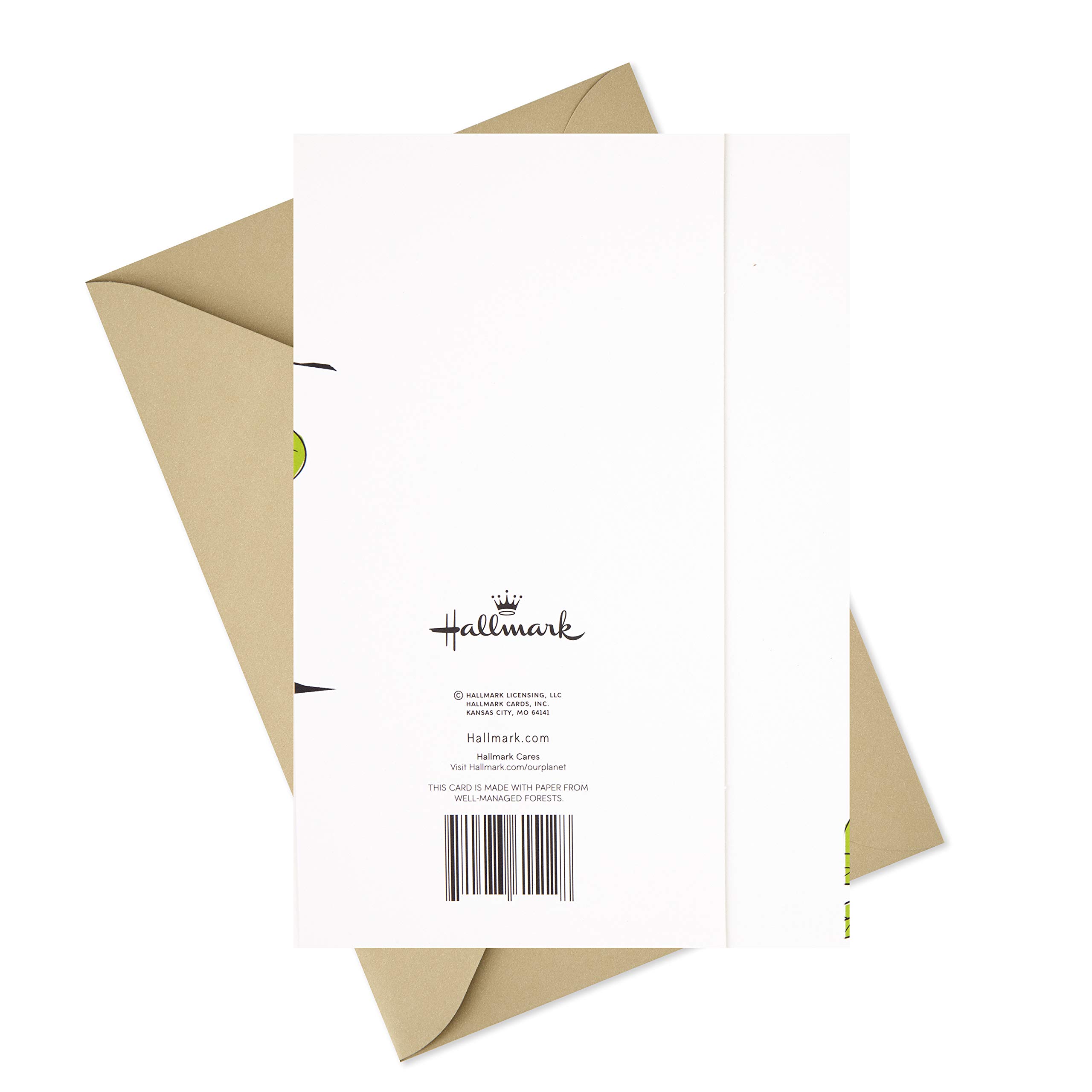Hallmark Anniversary Card for Couple (Great Marriage)