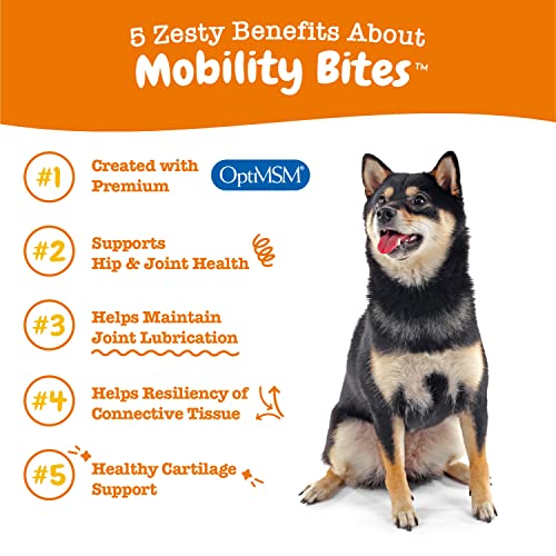 Zesty Paws Mobility Bites Dog Joint Supplement - Hip and Joint Chews for Dogs - Pet Products with Glucosamine, Chondroitin, & MSM + Vitamins C and E for Dog Joint Relief - Bacon β 90 Count