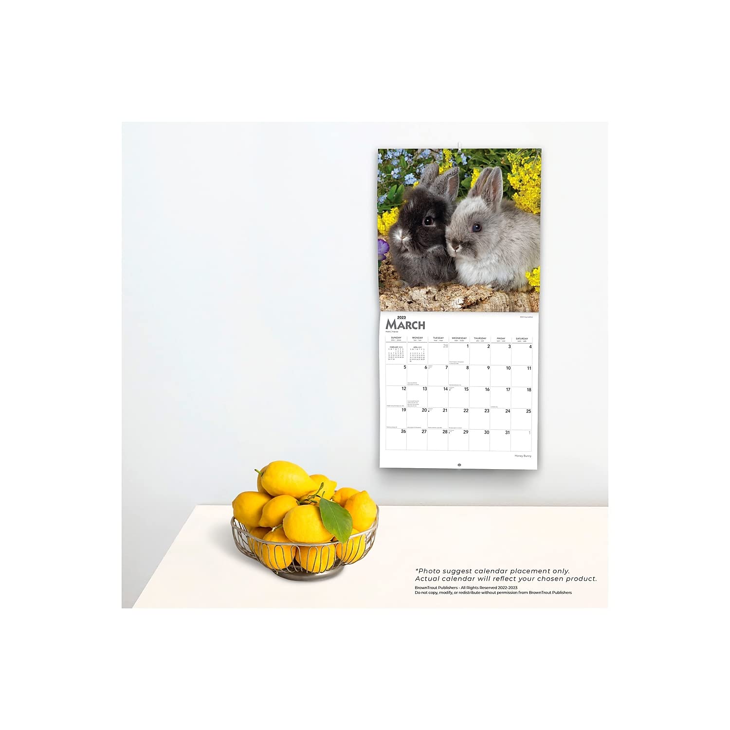 Honey Bunny | 2023 12 x 24 Inch Monthly Square Wall Calendar | BrownTrout | Domestic Small Cute Animals