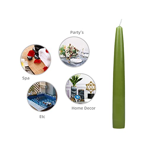 Zest Candle 12-Piece Taper Candles, 6-Inch, Sage Green