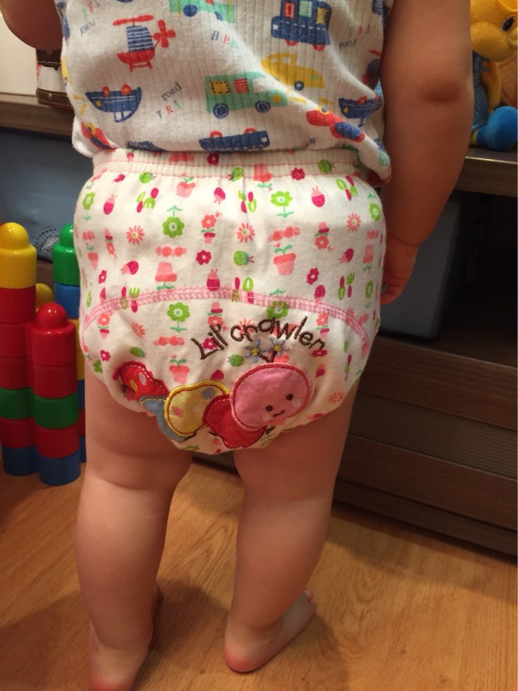 HaimoBurg 3 Pack Baby Toddler Potty Training Pants Reusable Underwears Diapers