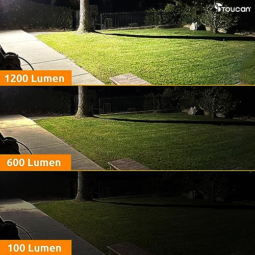 TOUCAN Outdoor Floodlight Security Camera, Plug-in Power, Bright LED Light, Night Vision, Radar Motion Detection, 2-Way Audio, Works with Alexa & Google Home, 1080P HD Video, No Subscription Required