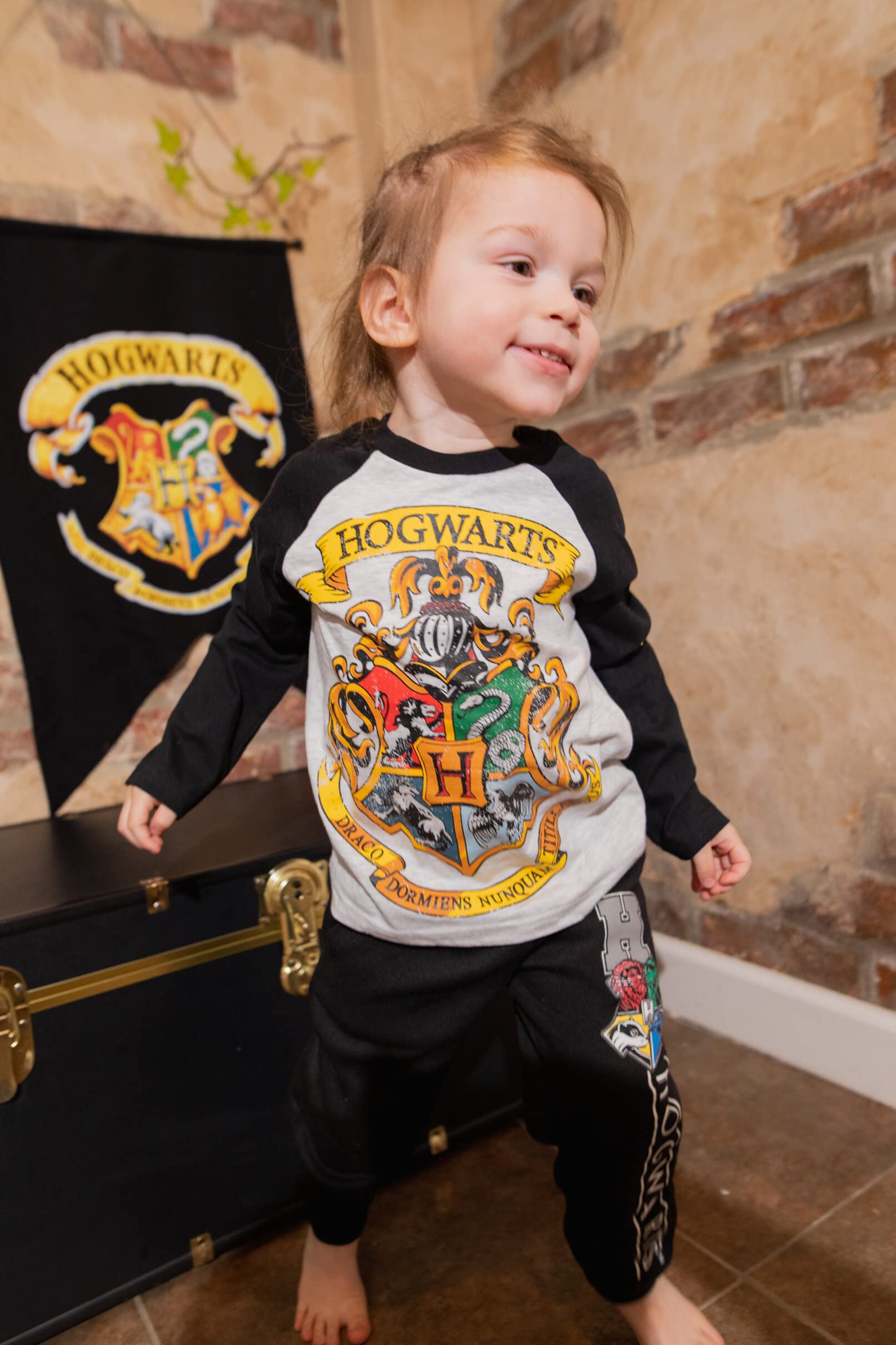 Harry Potter Gryffindor Hogwarts Big Boys 2 Pack T-Shirt Red/Grey 18-20