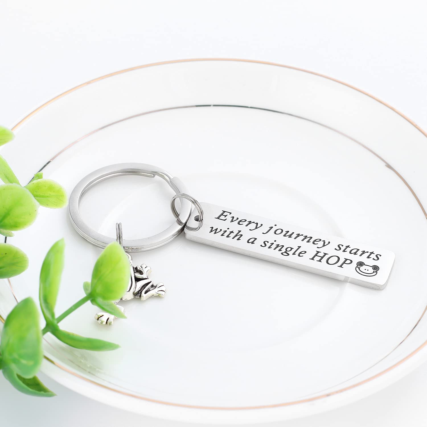 HUTIMY Frog Stuff Frog Gifts Keychain for Frog Lovers Women Men Frog Charm Jewelry Frog Keychain Frog Keychains