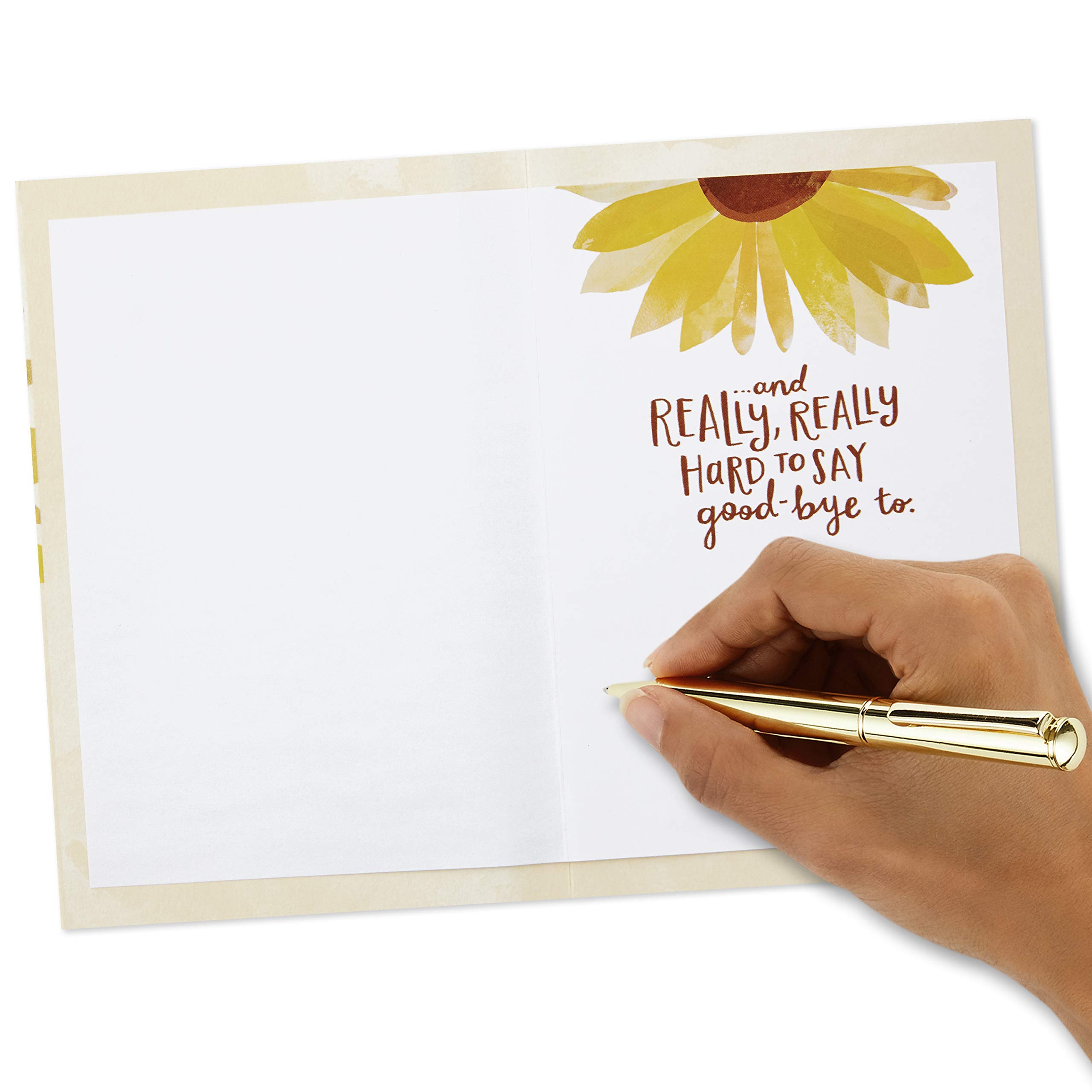 Hallmark Coworker Goodbye Card (Easy to Like)