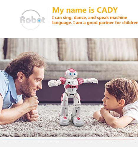 WEECOC RC Robot Toys Gesture Sensing Smart Robot Toy for Girls Can Singing Dancing Speaking Christmas Birthday Gift (Pink)